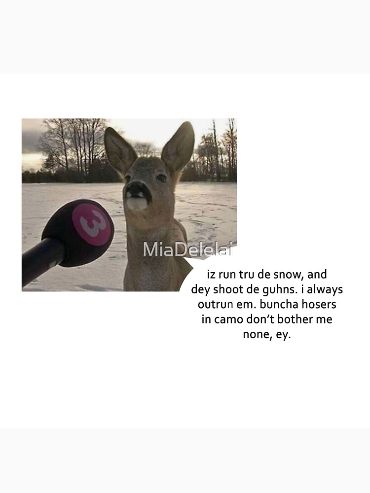 "Holiday Deer Interview - Funny Meme - Hilarious and Adorable Sticker ...