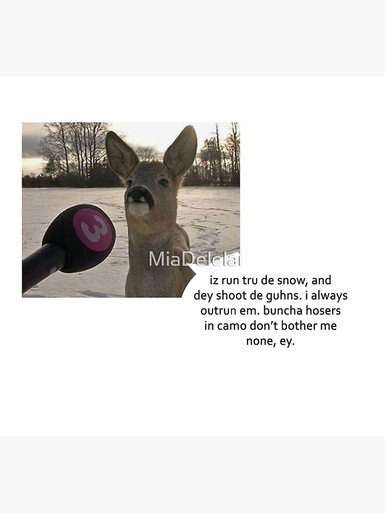 "Holiday Deer Interview - Funny Meme - Hilarious and Adorable Sticker ...