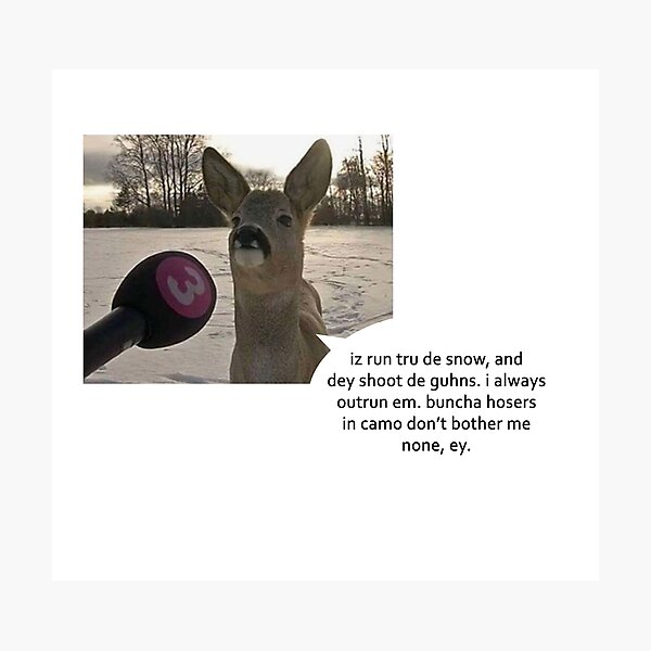 "Holiday Deer Interview - Funny Meme - Hilarious and Adorable Sticker ...