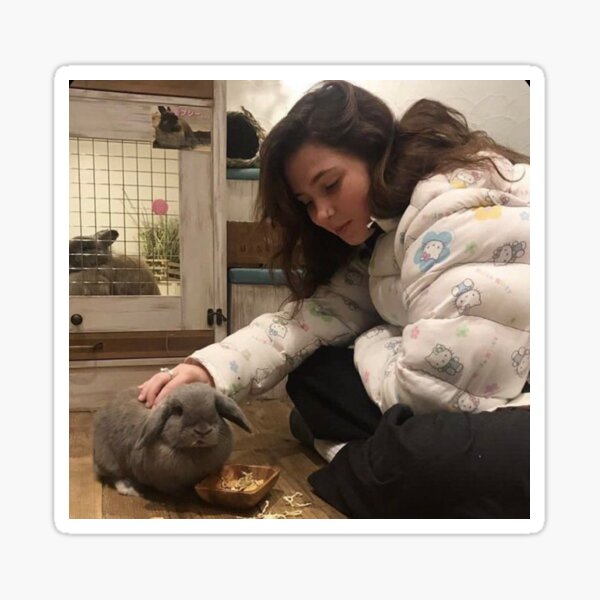 "Clario" Sticker by scyler23 | Redbubble