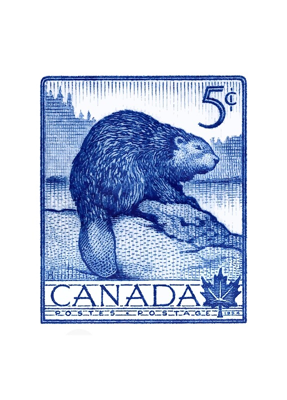 "1954 CANADA Beaver Postage Stamp" by retrographics | Redbubble