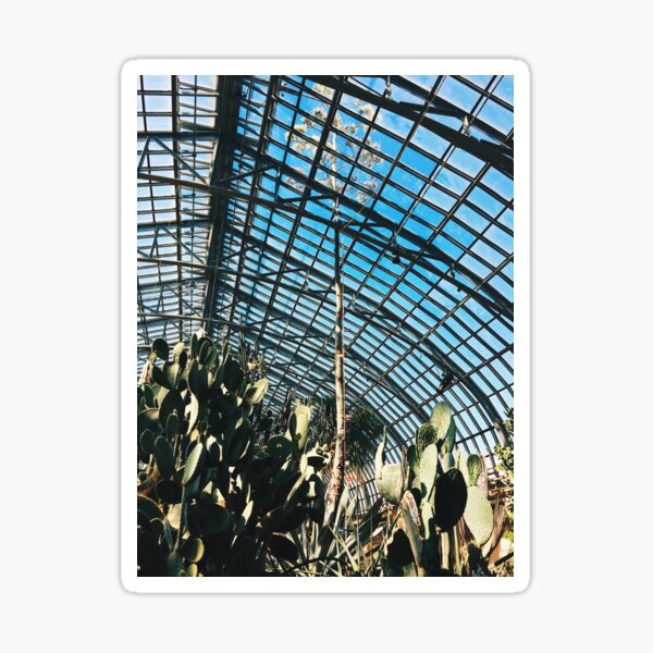 "Maya" Sticker by jennylam | Redbubble