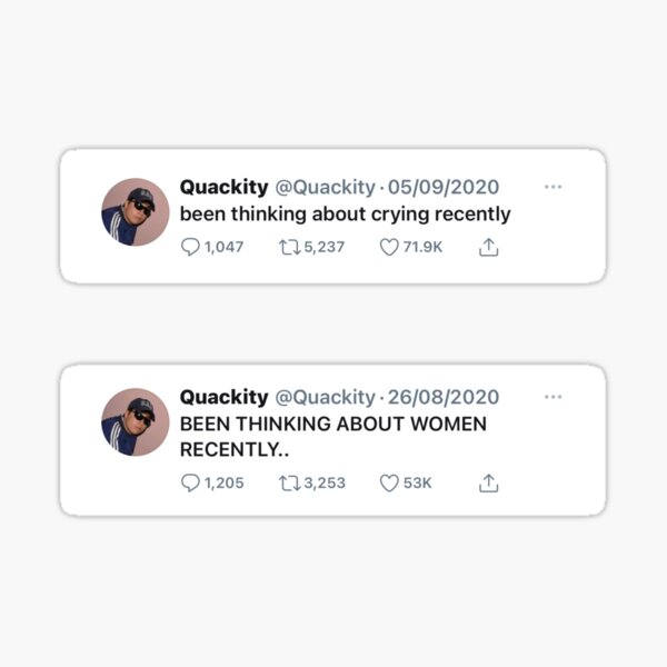 "Quackity tweets stickers" Sticker by xcharlottecat | Redbubble