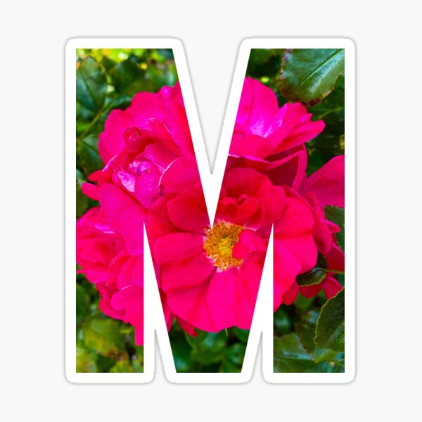 "Bright Pink Rose Monogram - The Letter M" Sticker for Sale by ...