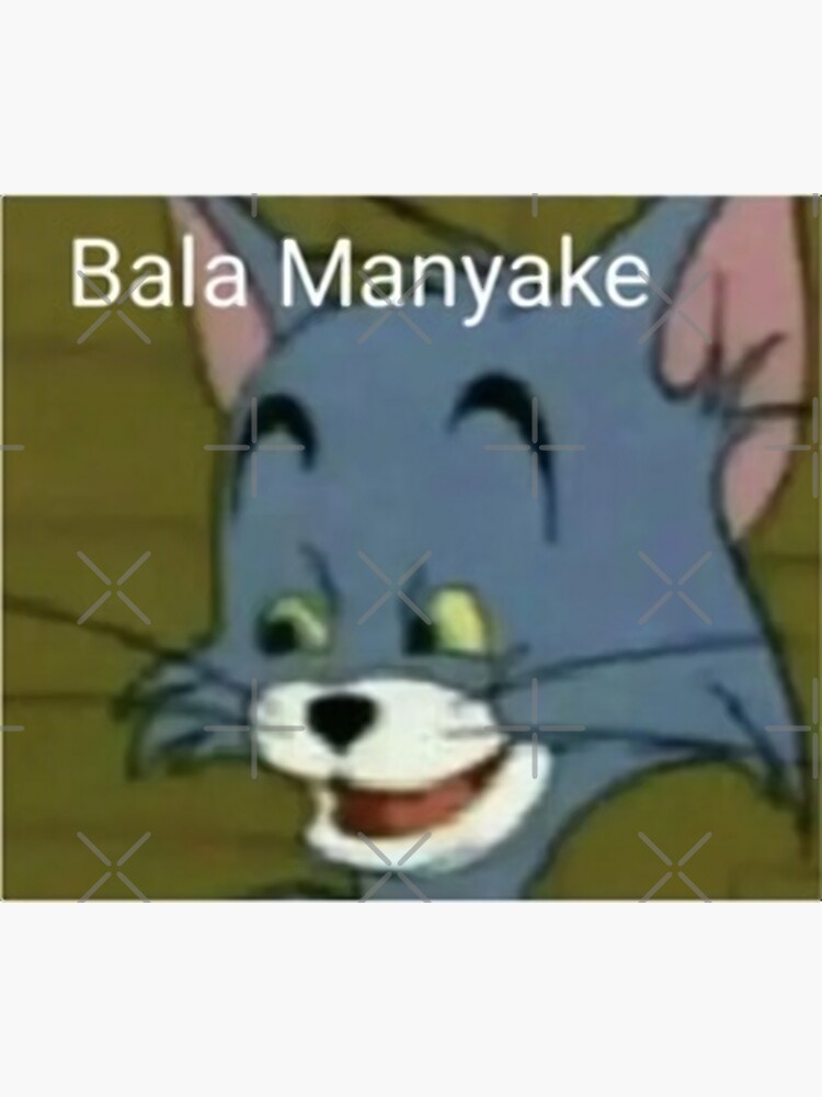 "Bala manyake memes" Sticker for Sale by kellykhoury | Redbubble