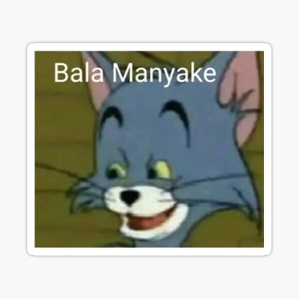 "Bala manyake memes" Sticker for Sale by kellykhoury | Redbubble