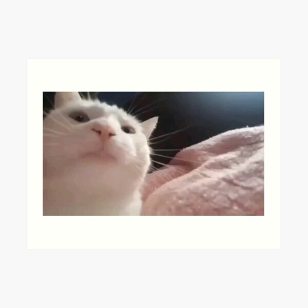 "Vibing Cat CatJam Meme" Art Print by jamdonut1 | Redbubble