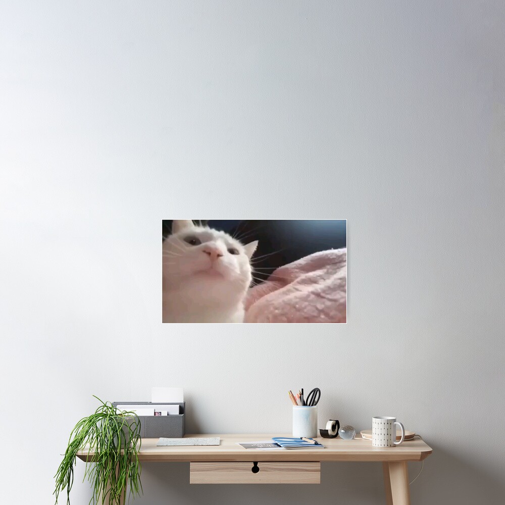 "Vibing Cat CatJam Meme" Poster by jamdonut1 | Redbubble