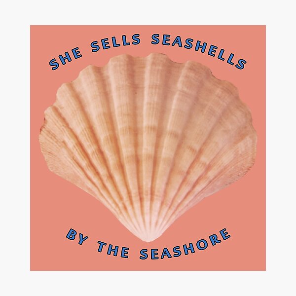 She Sells Seashells Wall Art | Redbubble