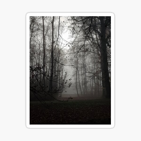"Forest in fog" Sticker for Sale by fogcryptid | Redbubble