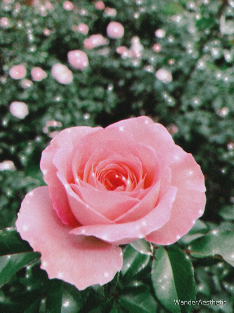 "Aesthetic vsco glitter rose" Sticker for Sale by WanderAesthetic ...