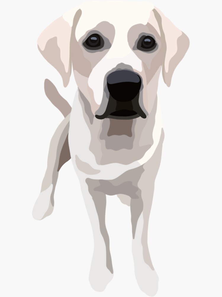 "White Labrador Dog Portrait Digital Illustration" Sticker for Sale by ...