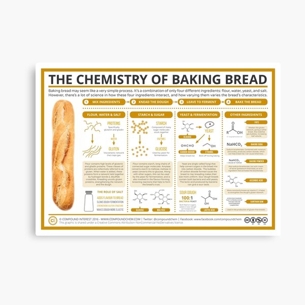 "The Chemistry of Bread-Making" Canvas Print for Sale by Compound ...