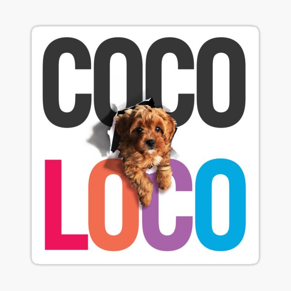 "COCO LOCO" Sticker for Sale by ExtraBold | Redbubble