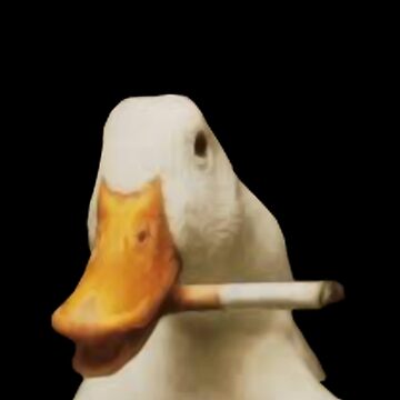 "Smoked Duck" Poster for Sale by Slydell1 | Redbubble