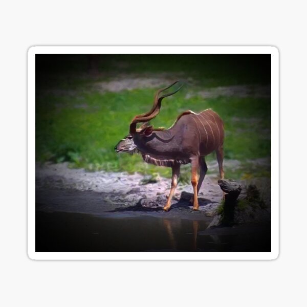 "Greater kudu" Sticker by Guardi71 | Redbubble