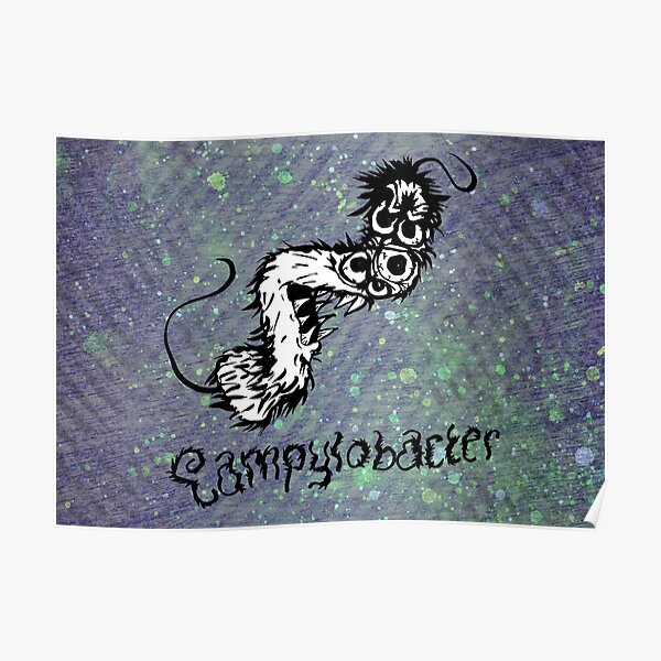 "Campylobacter" Poster for Sale by eliza-coli | Redbubble