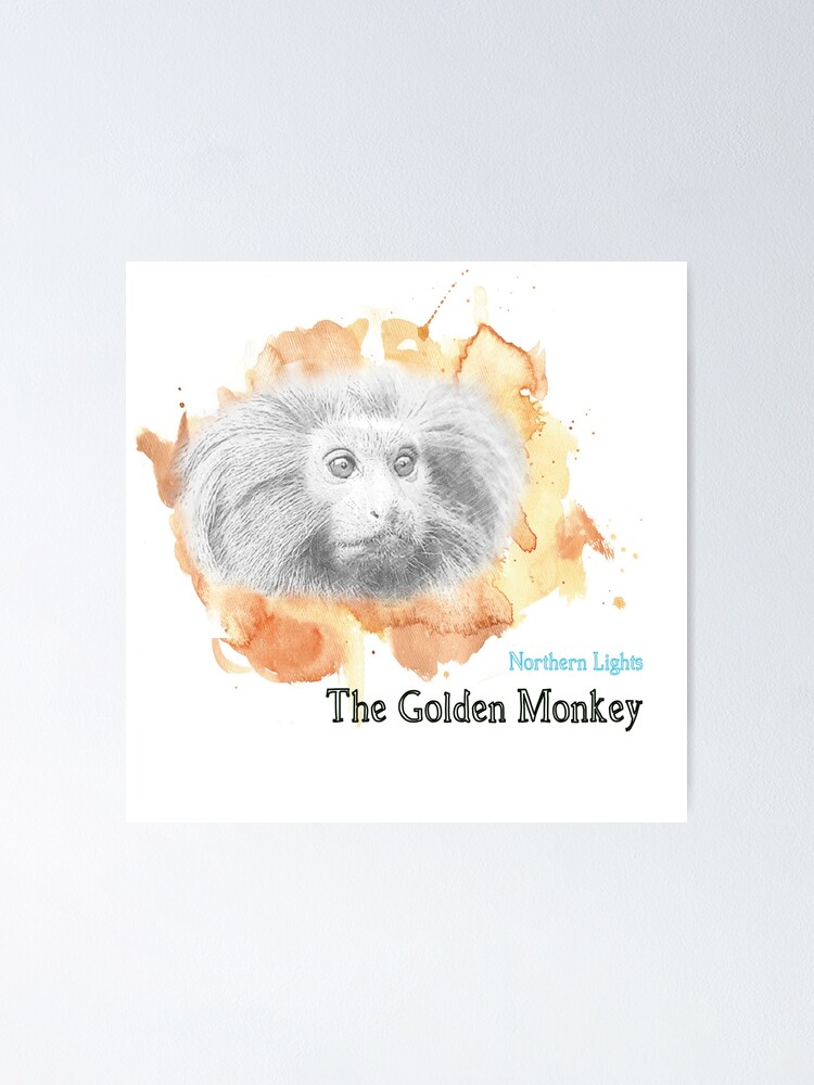 "The Golden Monkey, Mrs Coulter's Daemon from His Dark Materials ...