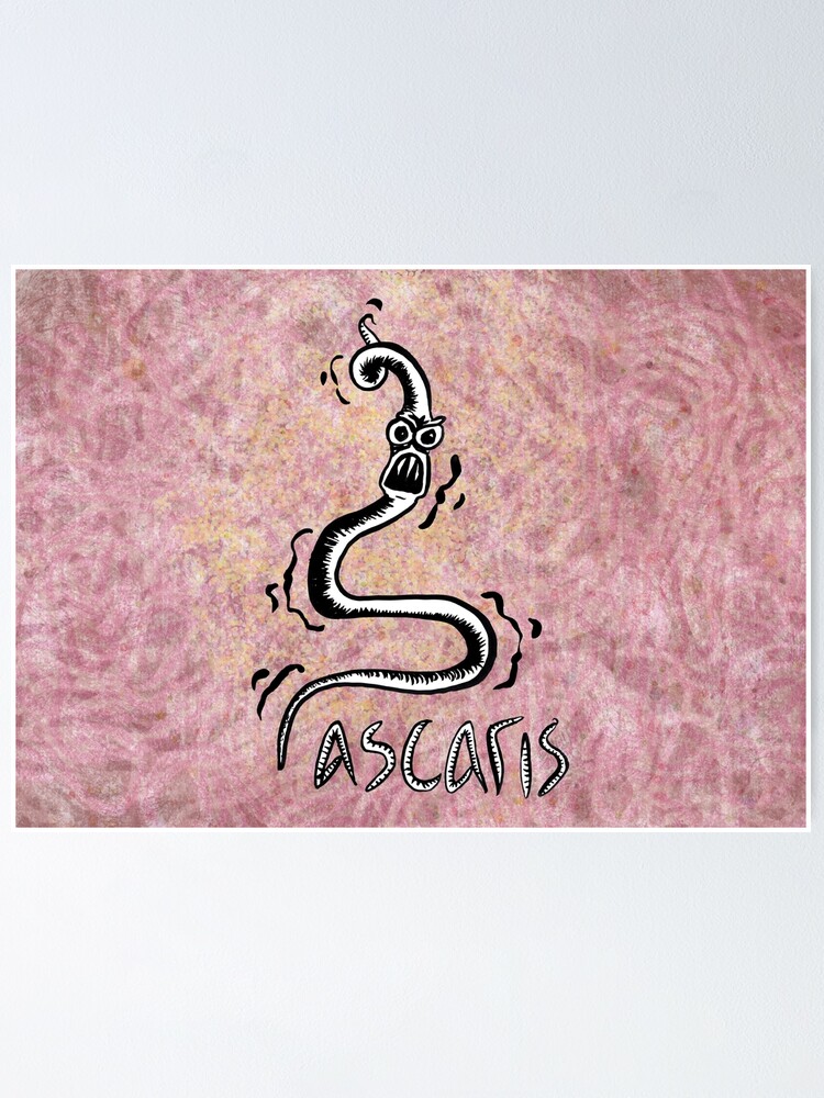 "Ascaris" Poster for Sale by eliza-coli | Redbubble