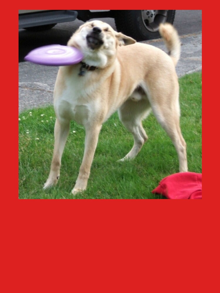 "Frisbee Doge" T-shirt by snacksbuddy | Redbubble