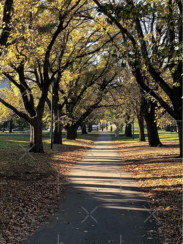 "Love a relaxing walk through the trees" Art Print by m1kels | Redbubble