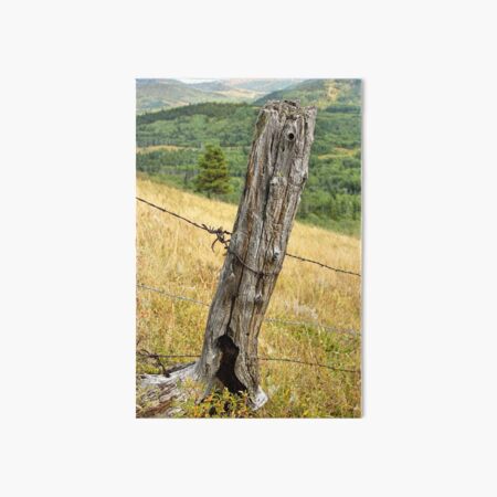 "A Stump for a Fence" Art Board Print by ambaron | Redbubble