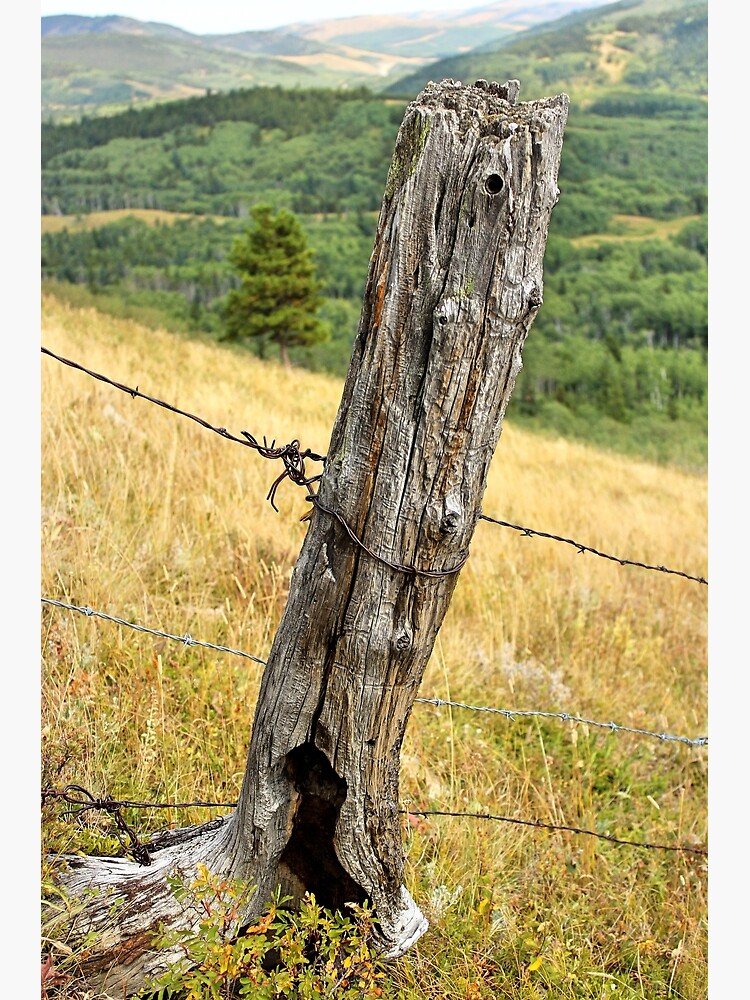 "A Stump for a Fence" Poster for Sale by ambaron | Redbubble