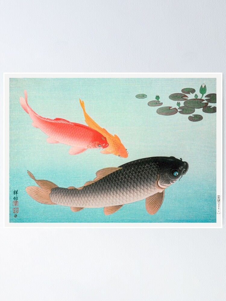 "Golden Carp" Poster for Sale by SFTStudio | Redbubble