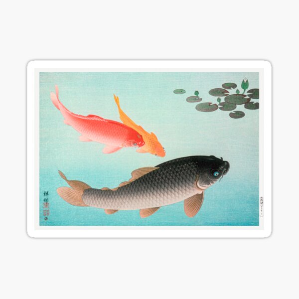 "Golden Carp" Sticker by SFTStudio | Redbubble