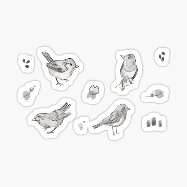 "Birds and coffee aesthetic sticker set" Sticker for Sale by Vnopp ...