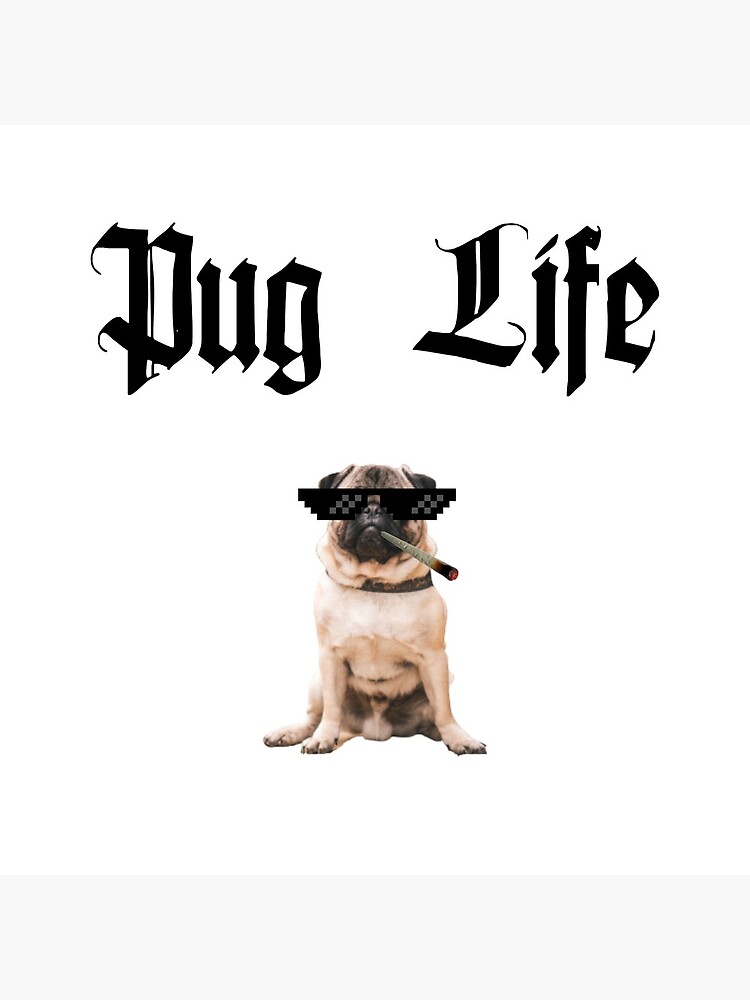 Lámina fotográfica «Pug Life - parodia del meme de Thug Life con un ...