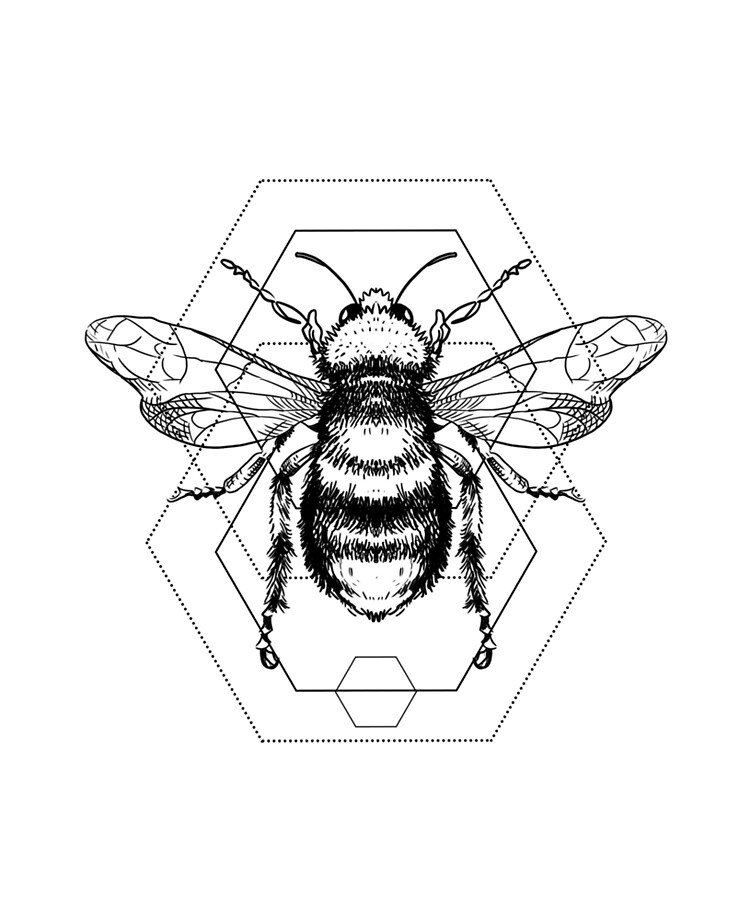 "Bee drawing, honeycomb of hexagons, symmetrical design, wonderful ...