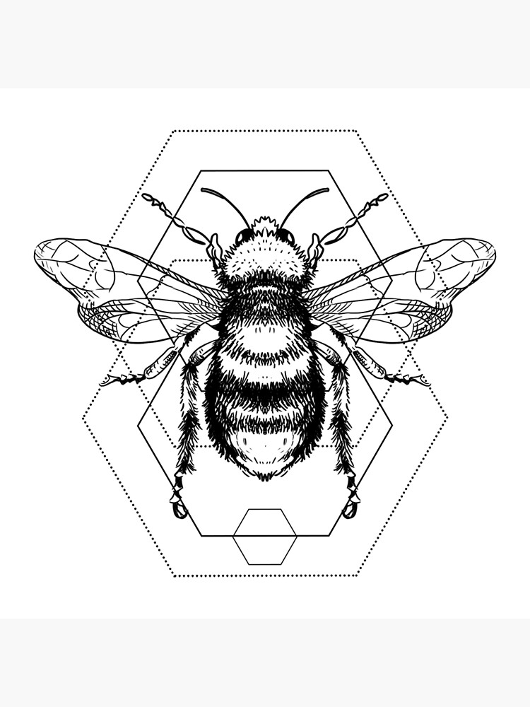 "Bee drawing, honeycomb of hexagons, symmetrical design, wonderful ...