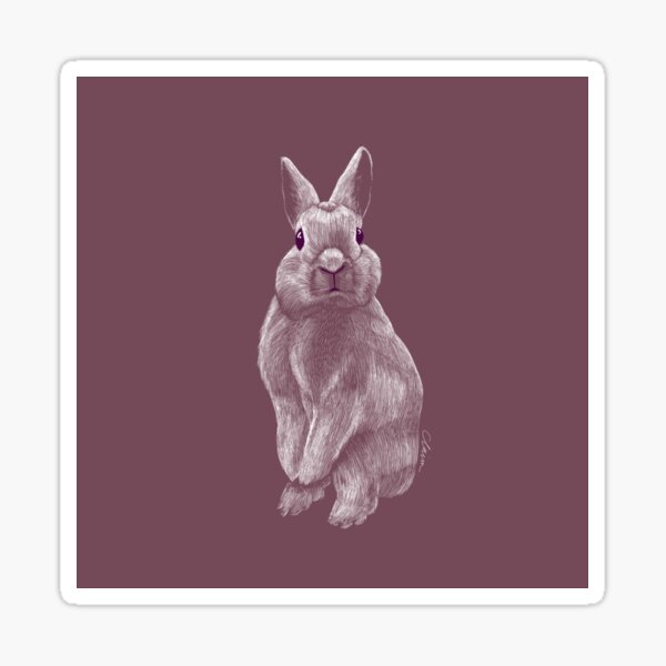 "White rabbit" Sticker for Sale by ClaimDesign | Redbubble