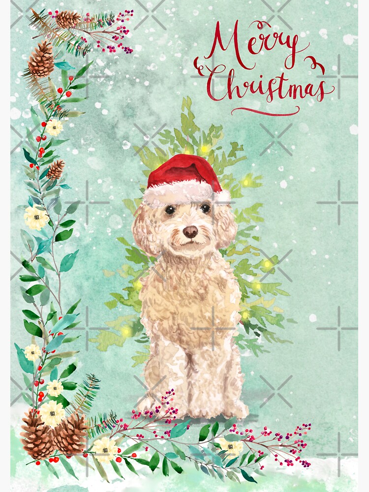 "Merry Christmas Cockapoo" Sticker for Sale by Amanda-Lakey | Redbubble