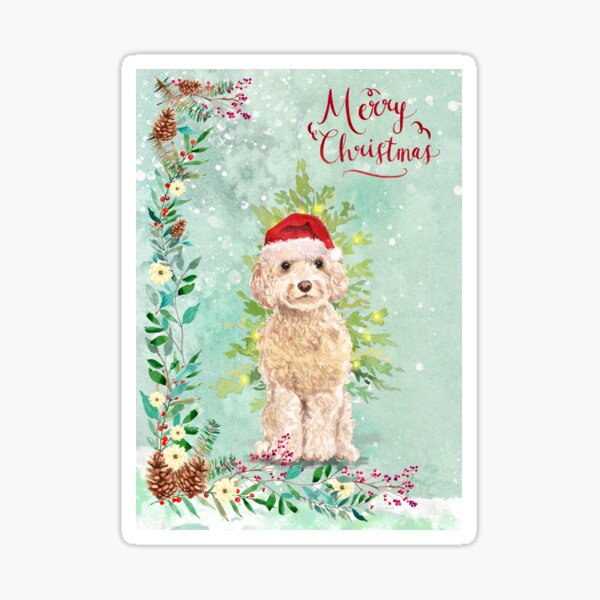 "Merry Christmas Cockapoo" Sticker for Sale by Amanda-Lakey | Redbubble