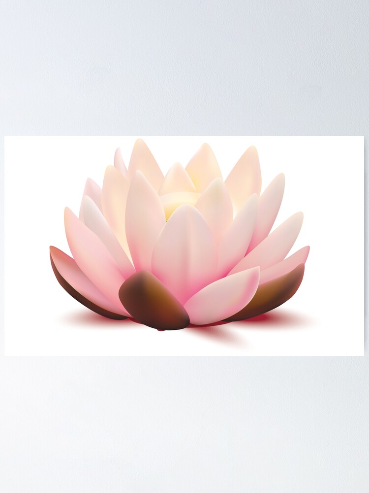 "Lotus Silk Lotus Flower" Poster by Maystro-design | Redbubble