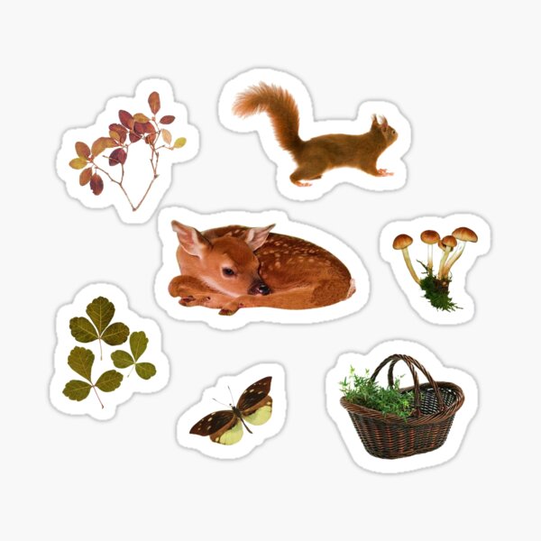 "forest aesthetic pack set 2" Sticker by promisesarelies | Redbubble