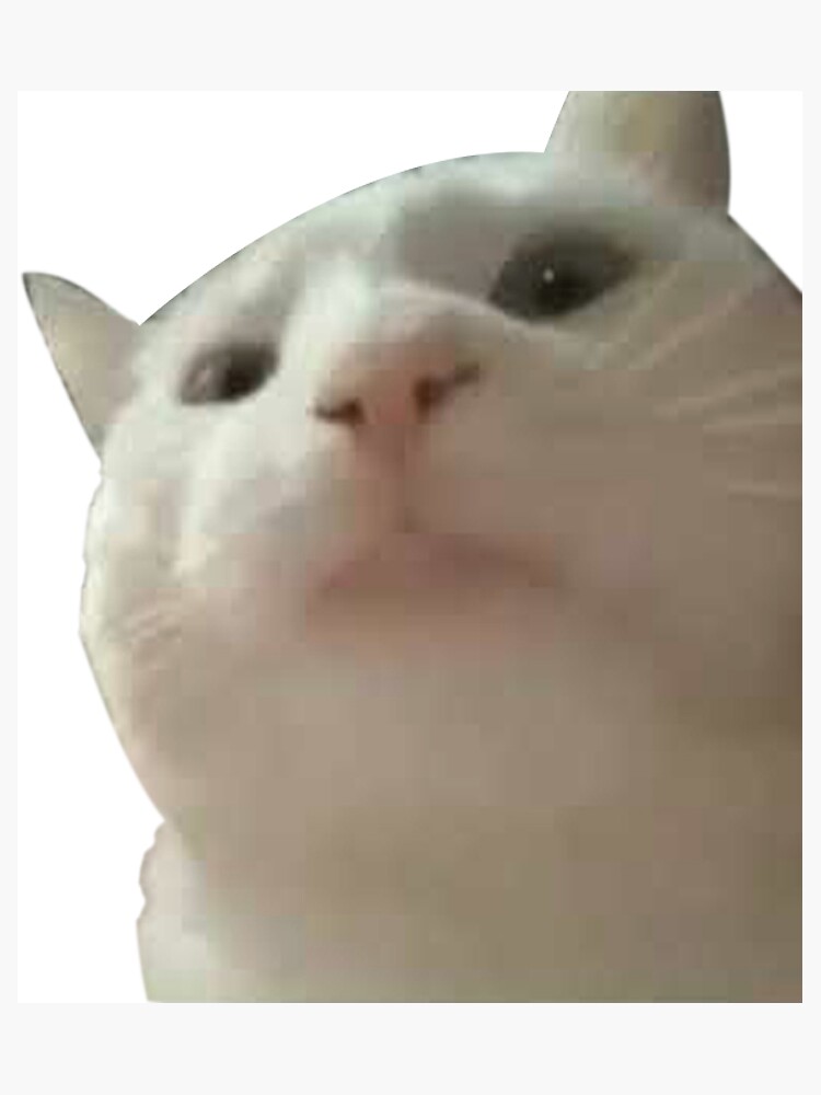 "Cat vibing " Magnet for Sale by HiImOli | Redbubble