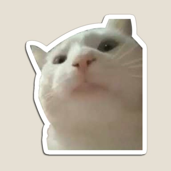 "Cat vibing " Magnet for Sale by HiImOli | Redbubble