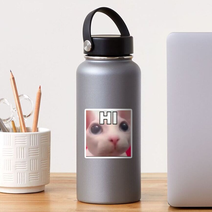"Bingus the cat says hi!" Sticker for Sale by Lupe23489 | Redbubble