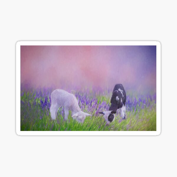 "Side by Side" Sticker for Sale by fineart2017 | Redbubble