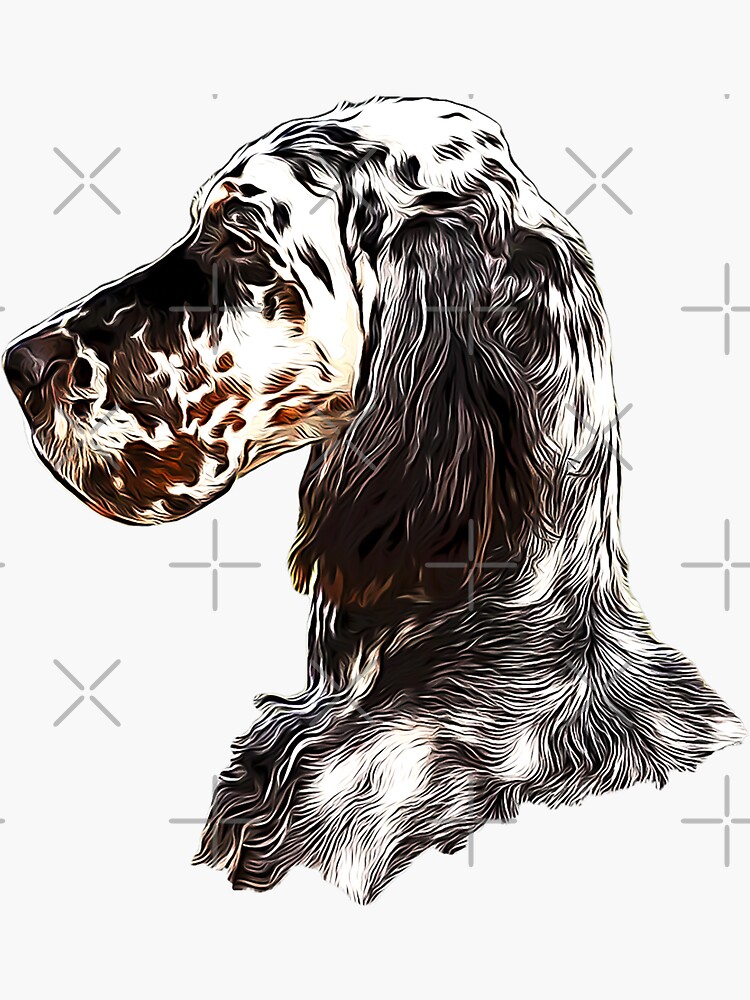 "English Setter" Sticker for Sale by ElegantCat | Redbubble