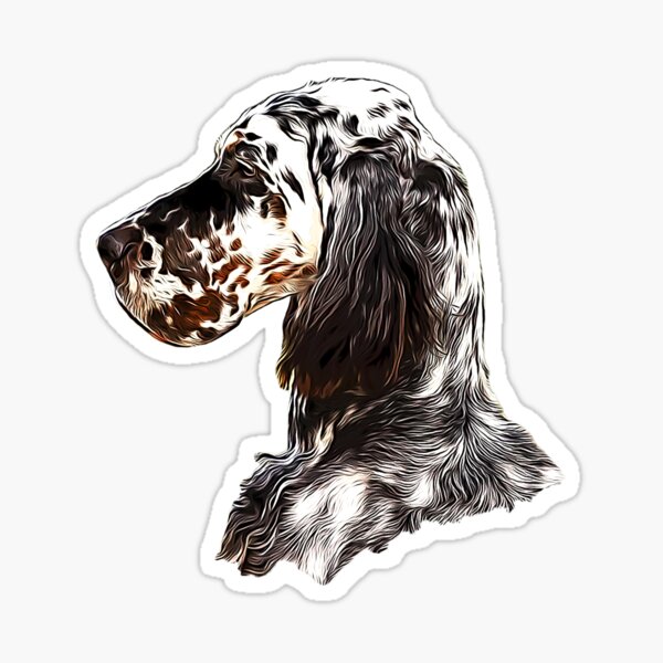 "English Setter" Sticker for Sale by ElegantCat | Redbubble