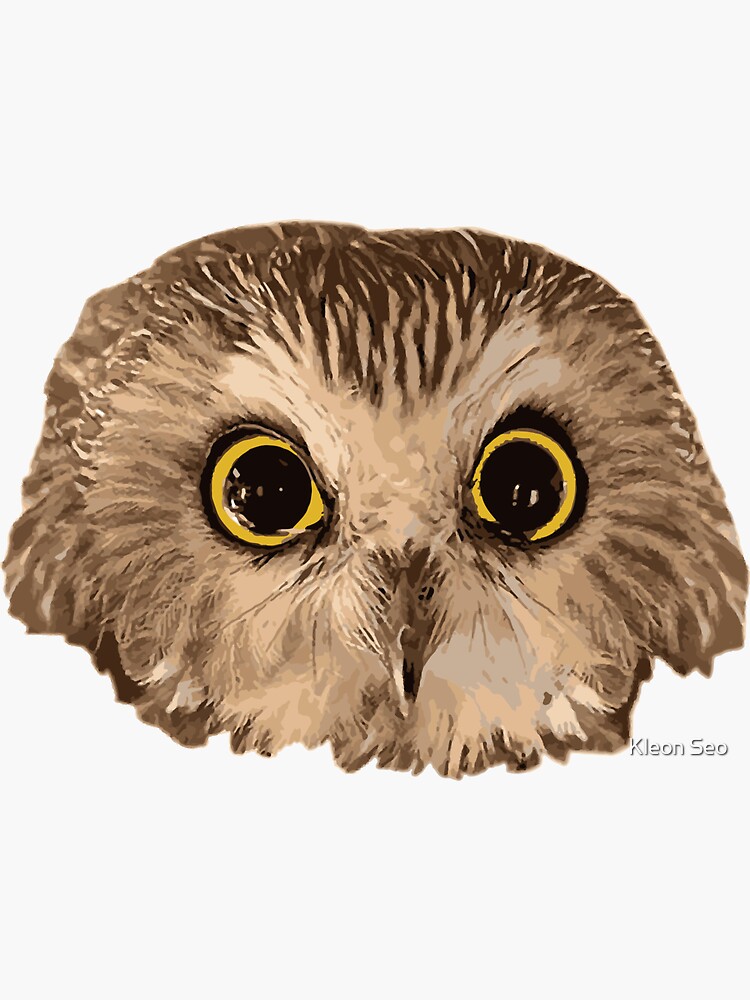 "Cute Baby RockeFeller Owl " Sticker by PetStories | Redbubble