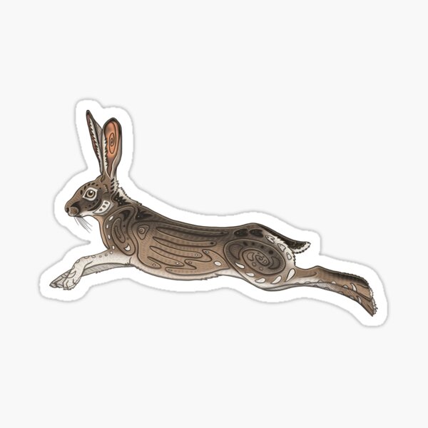 Lepus Merch & Gifts for Sale | Redbubble