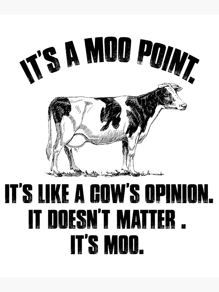 "It's a moo point. It's like a cow's opinion. It's doesn't matter. It's ...