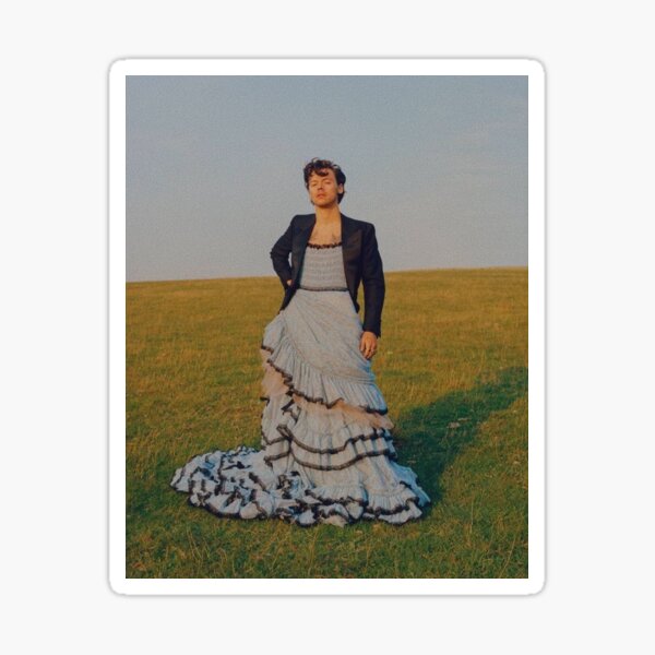 "harry" Sticker by rphifer21 | Redbubble