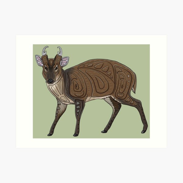 Muntjac Art Prints | Redbubble