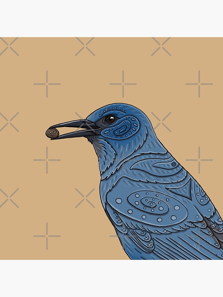 "Pinyon Jay" Pin for Sale by Corvus-latrans | Redbubble